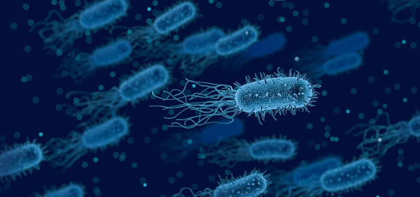 prevencion-y-control-legionelosis - Emursa - Servicios Industriales